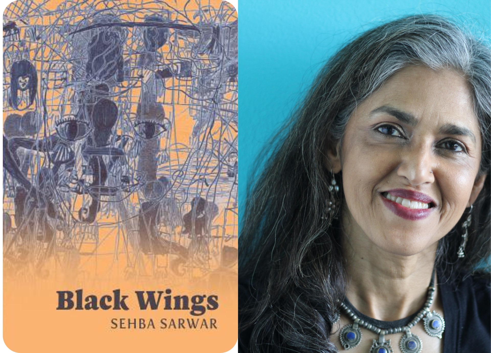 Mount Holyoke Alum Sehba Sarwar '86 Discusses Black Wings - Amherst Now