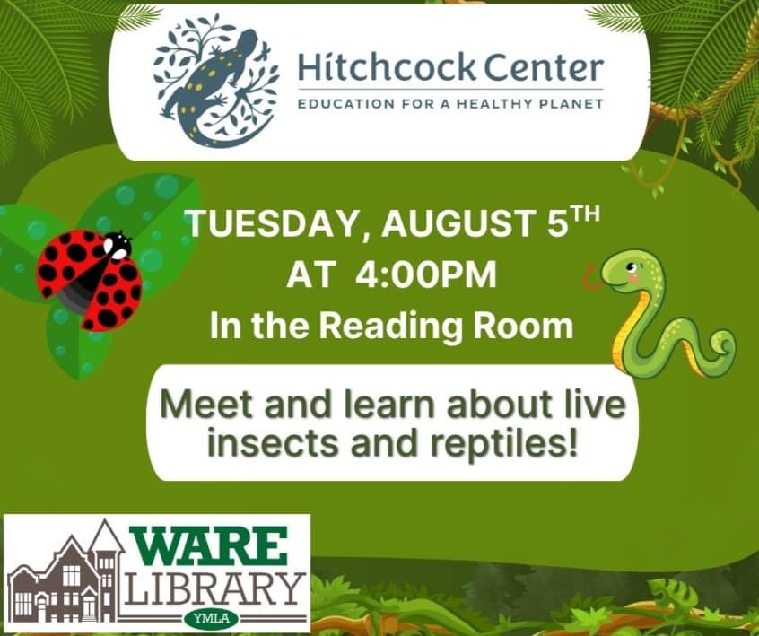 Meet Live Insects and Reptiles at Ware Library - Amherst Now