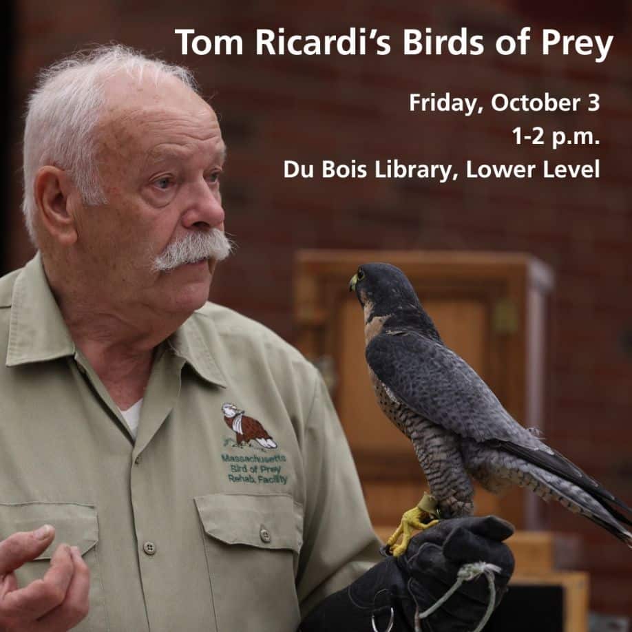 Tom Ricardi’s Birds of Prey at Du Bois Library - Amherst Now