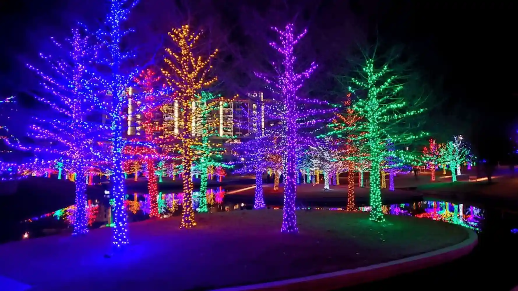 Winter Lights Show at Belchertown Town Hall - Amherst Now