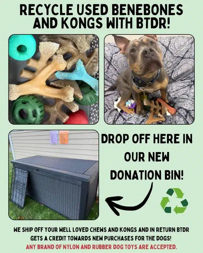 Recycle Dog Toys at Better Together Dog Rescue in Leverett - Amherst Now