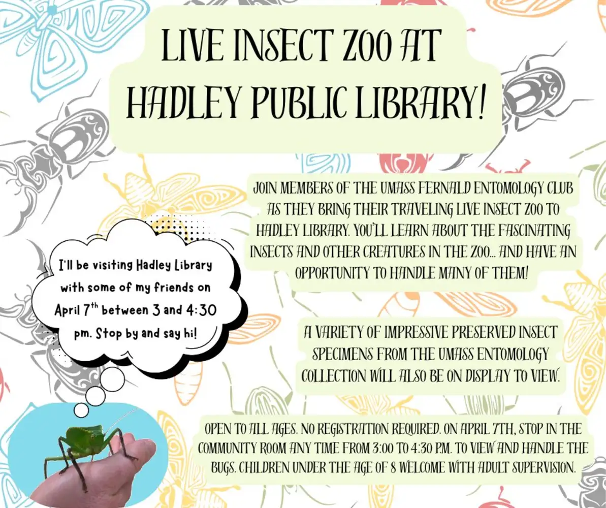 Live Insect Zoo at Hadley Public Library - Amherst Now